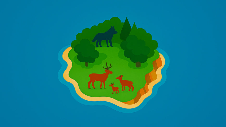 Excel Food Chain Solver for McKinsey Ecosystem Game – PSG Cracked